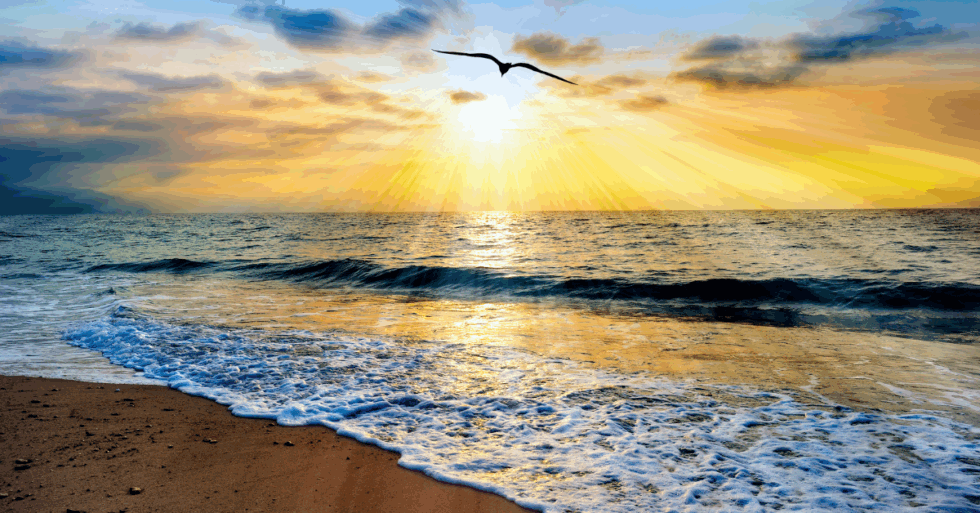 Love Beyond Comprehension – The Truth of Our Divine Heritage - Leading ...